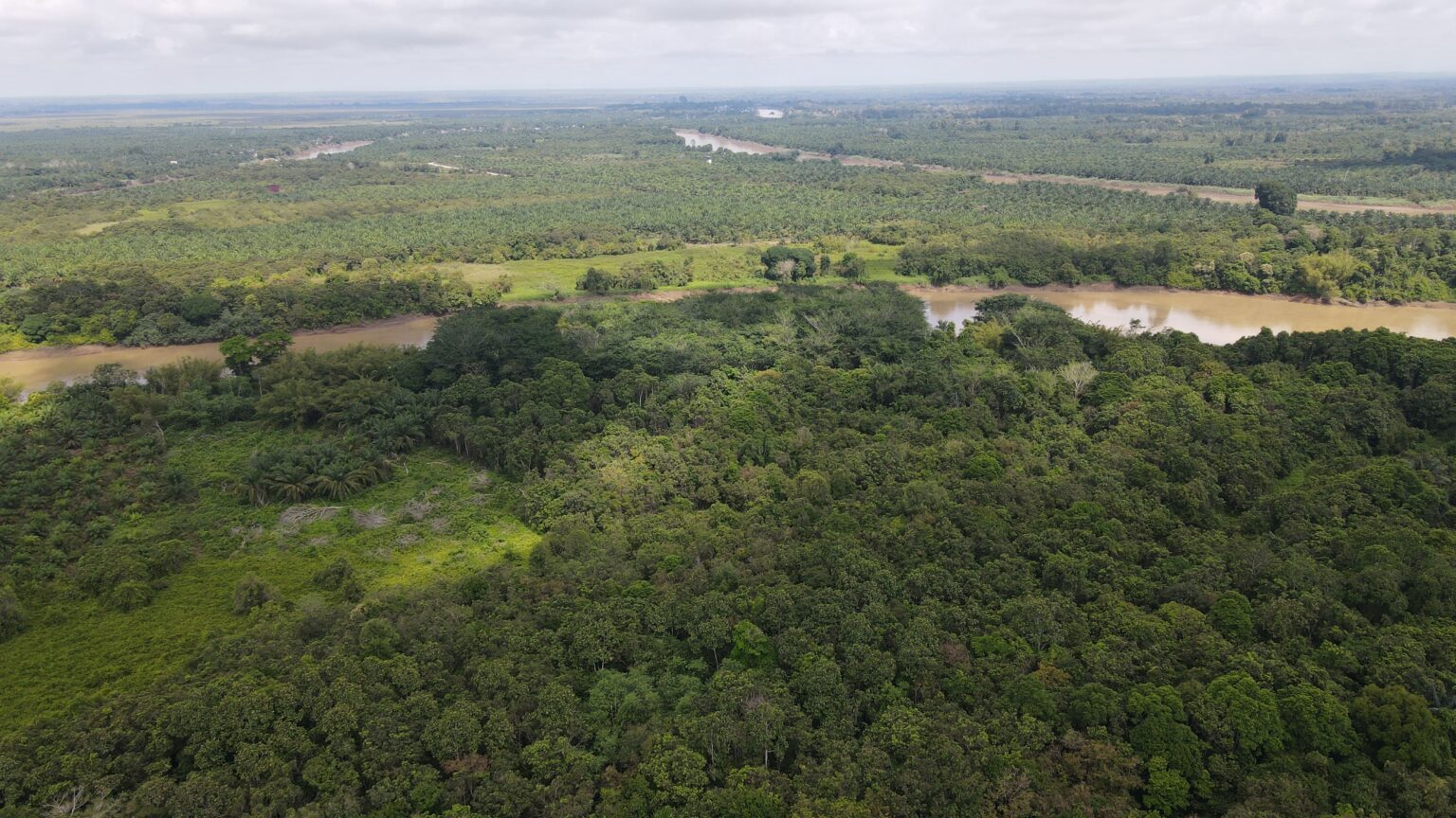 Life Cycle Assessment for Sustainable Mining Projects - Environment